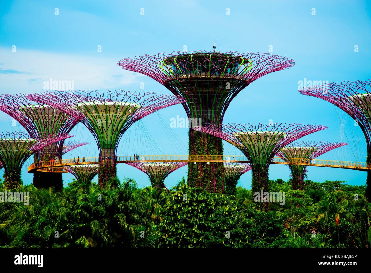 Supertree Grove Trees at the Gardens by the Bay - Singapore Stock Photo ...