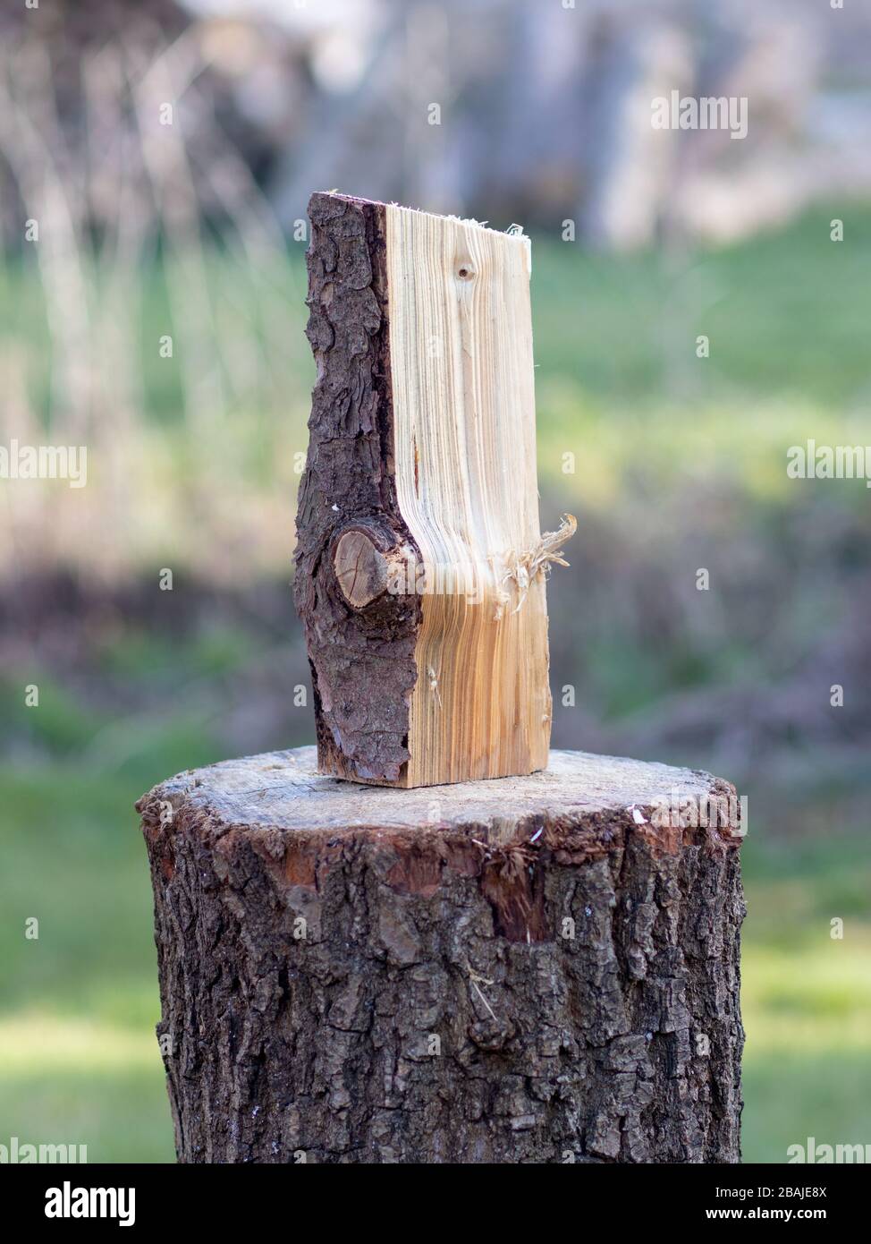 Top log hi-res stock photography and images - Alamy