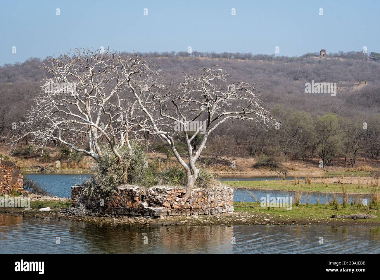 Padam talao lake hi-res stock photography and images - Alamy