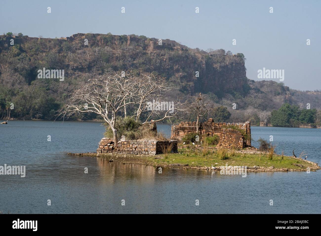 Padam talao lake hi-res stock photography and images - Alamy