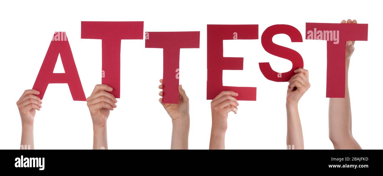 People Hands Holding Word Attest Means Attestation, Isolated Background ...