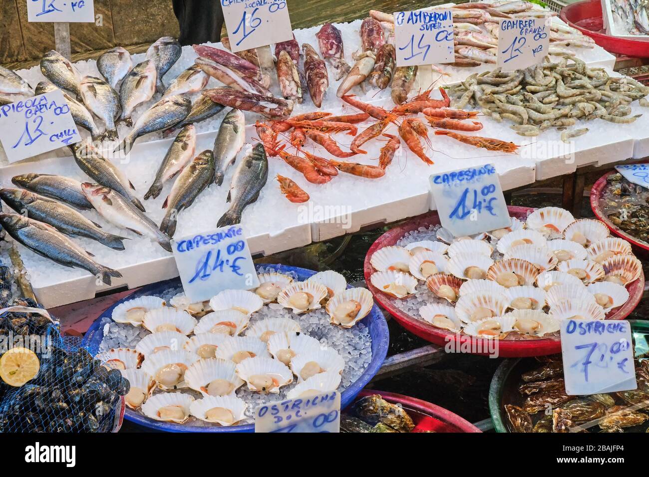 Bivalves hi-res stock photography and images - Alamy