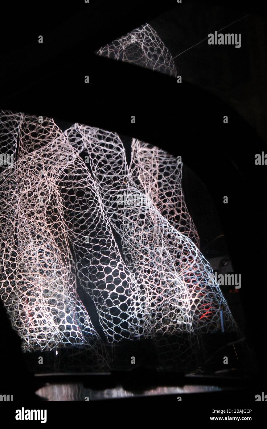 Creative color art with tree structures Stock Photo - Alamy