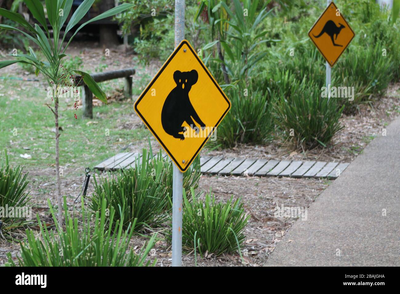 A close up of a koala sign Stock Photo - Alamy