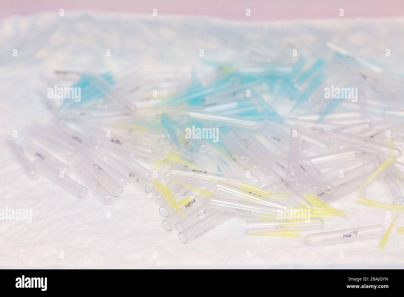 Blood test tubes in medical laboratory Stock Photo - Alamy