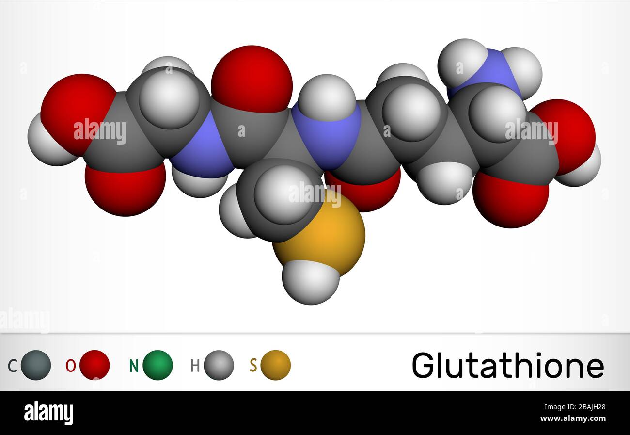 Glutathione, GSH, C10H17N3O6S molecule. It is an important antioxidant ...