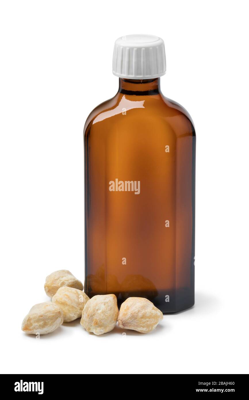 Bottle with cosmetic candlenut oil and nuts isolated on white ...