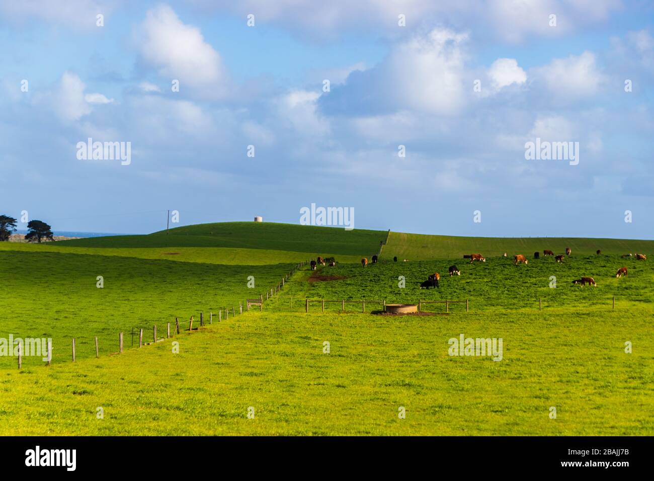 Australian farmland hi-res stock photography and images - Alamy
