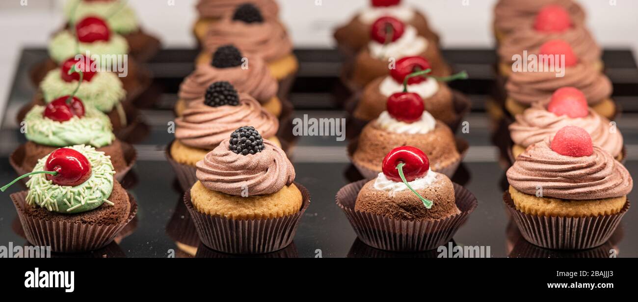 tray of assorted pastries fresh from the pastry shop Stock Photo - Alamy