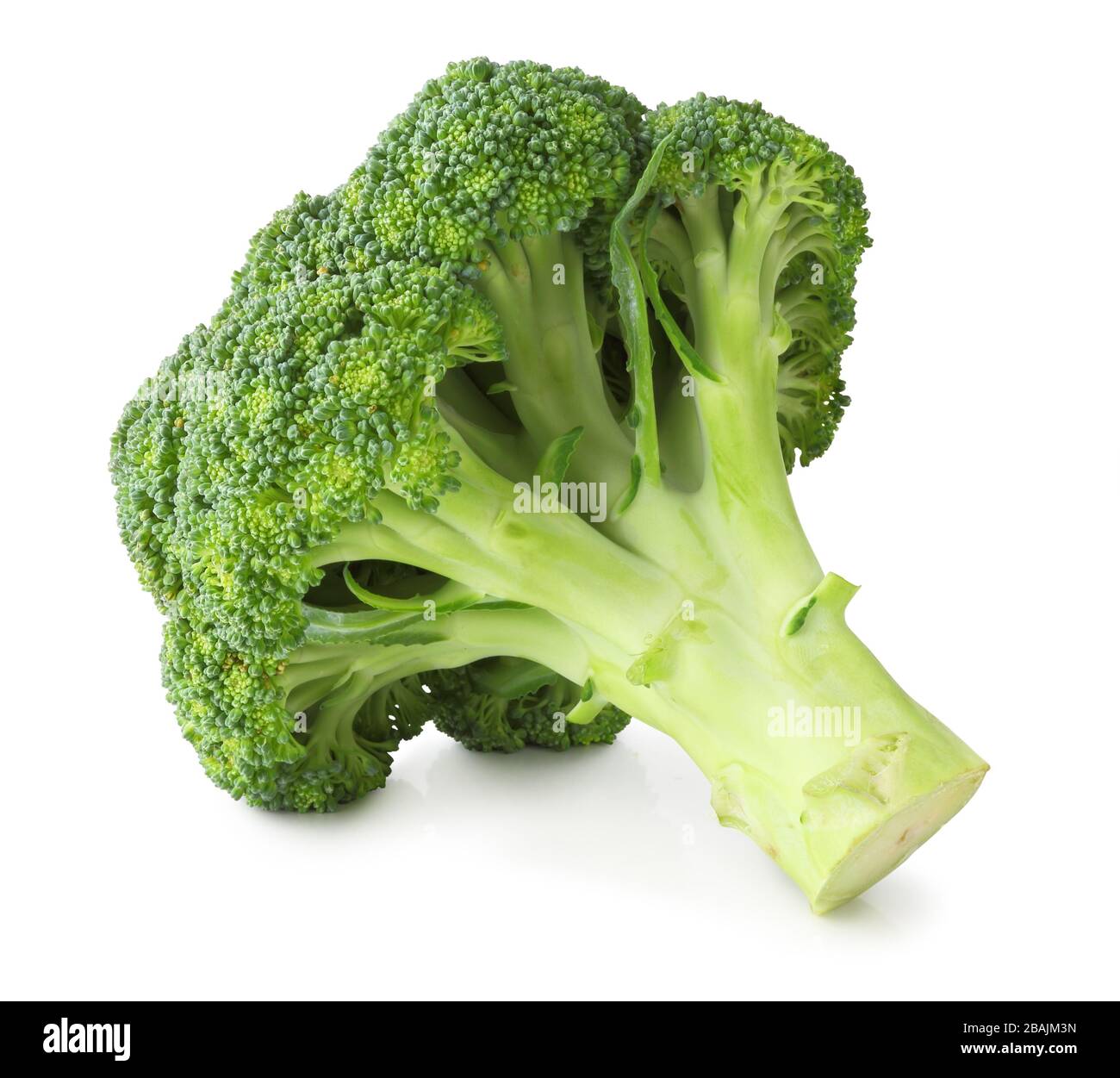 Fresh Broccoli isolated on white background, including clipping path ...