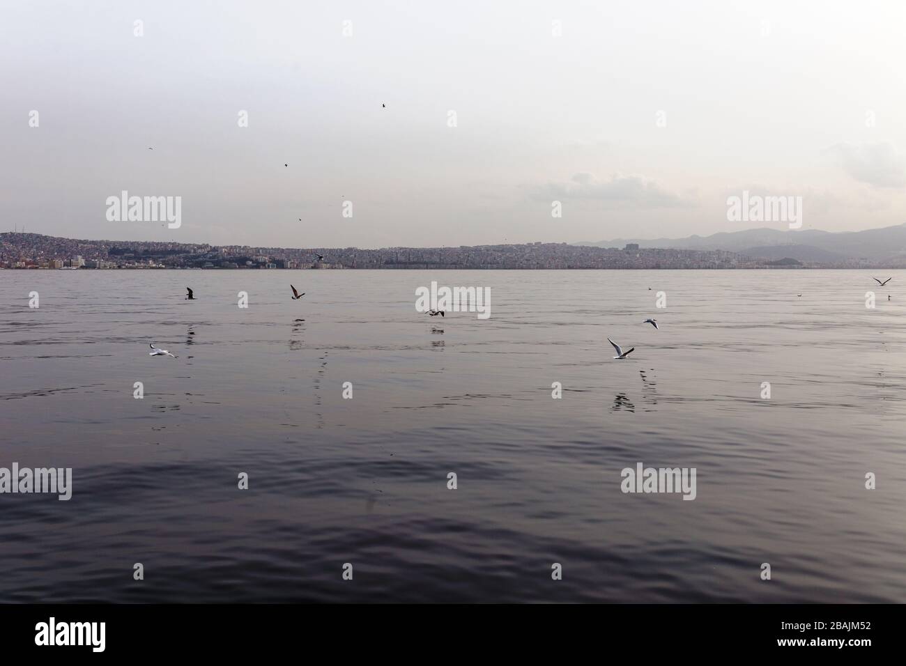 Seaview day hi-res stock photography and images - Alamy