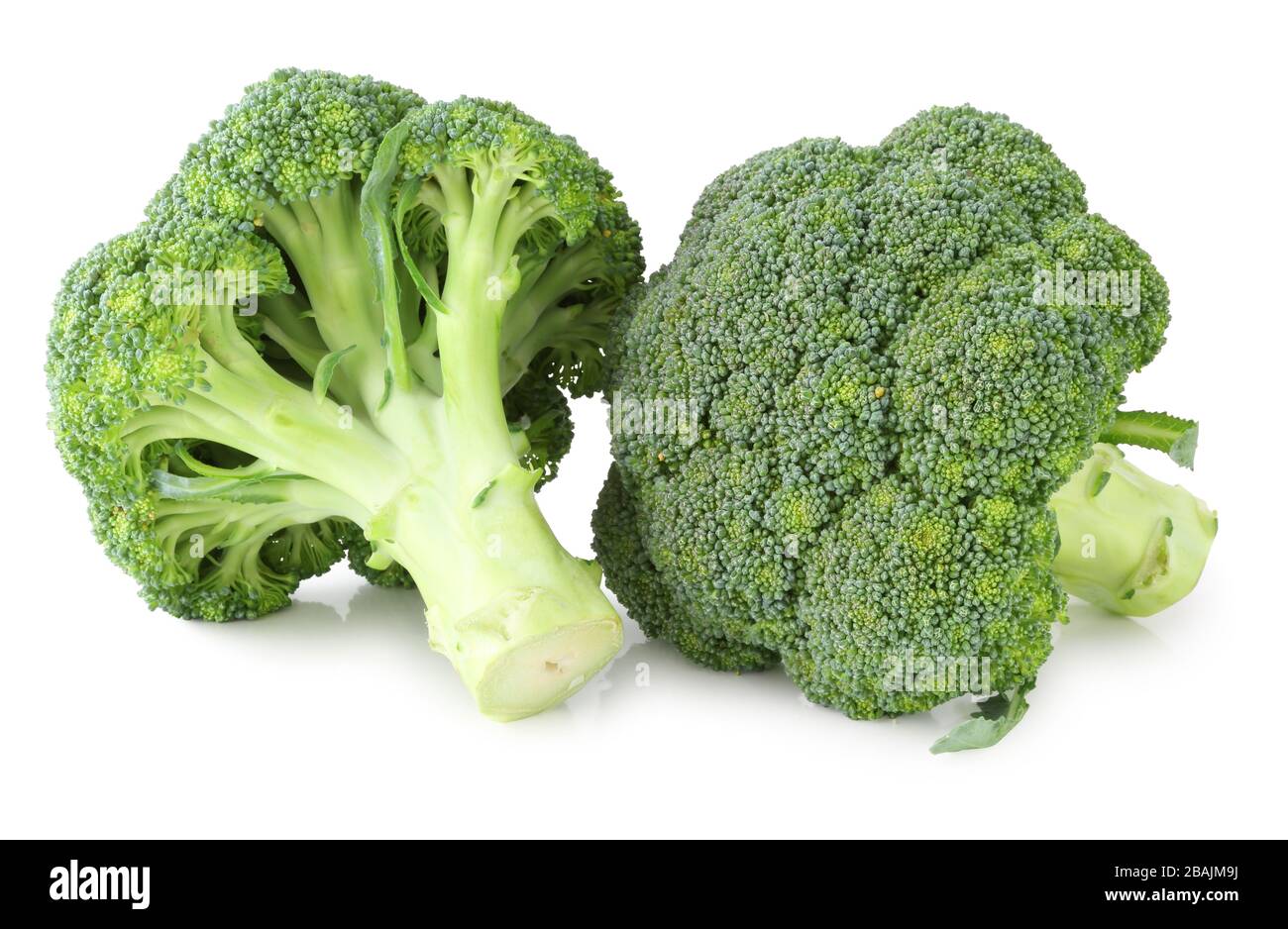 Fresh Broccoli isolated on white background, including clipping path ...