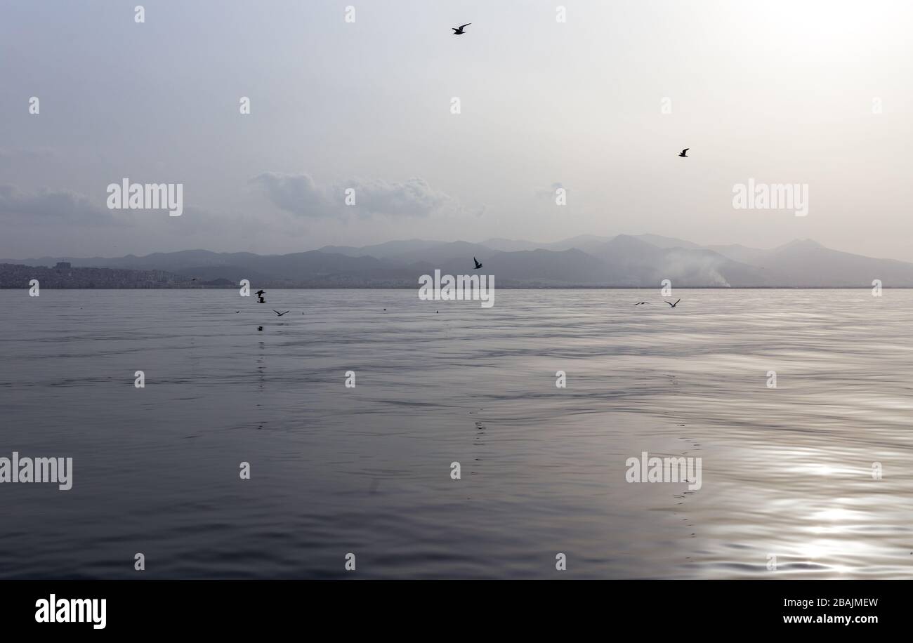 Seaview day hi-res stock photography and images - Alamy