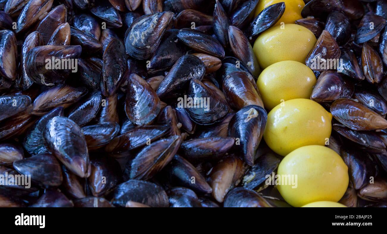 Fresh sea mussels, Kemeralti, Izmir, Turkey Stock Photo - Alamy