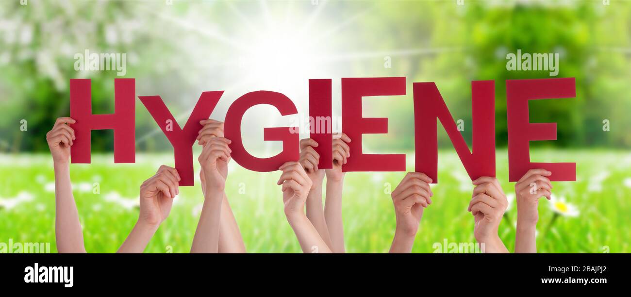 People Hands Holding Word Hygiene, Grass Meadow Stock Photo - Alamy