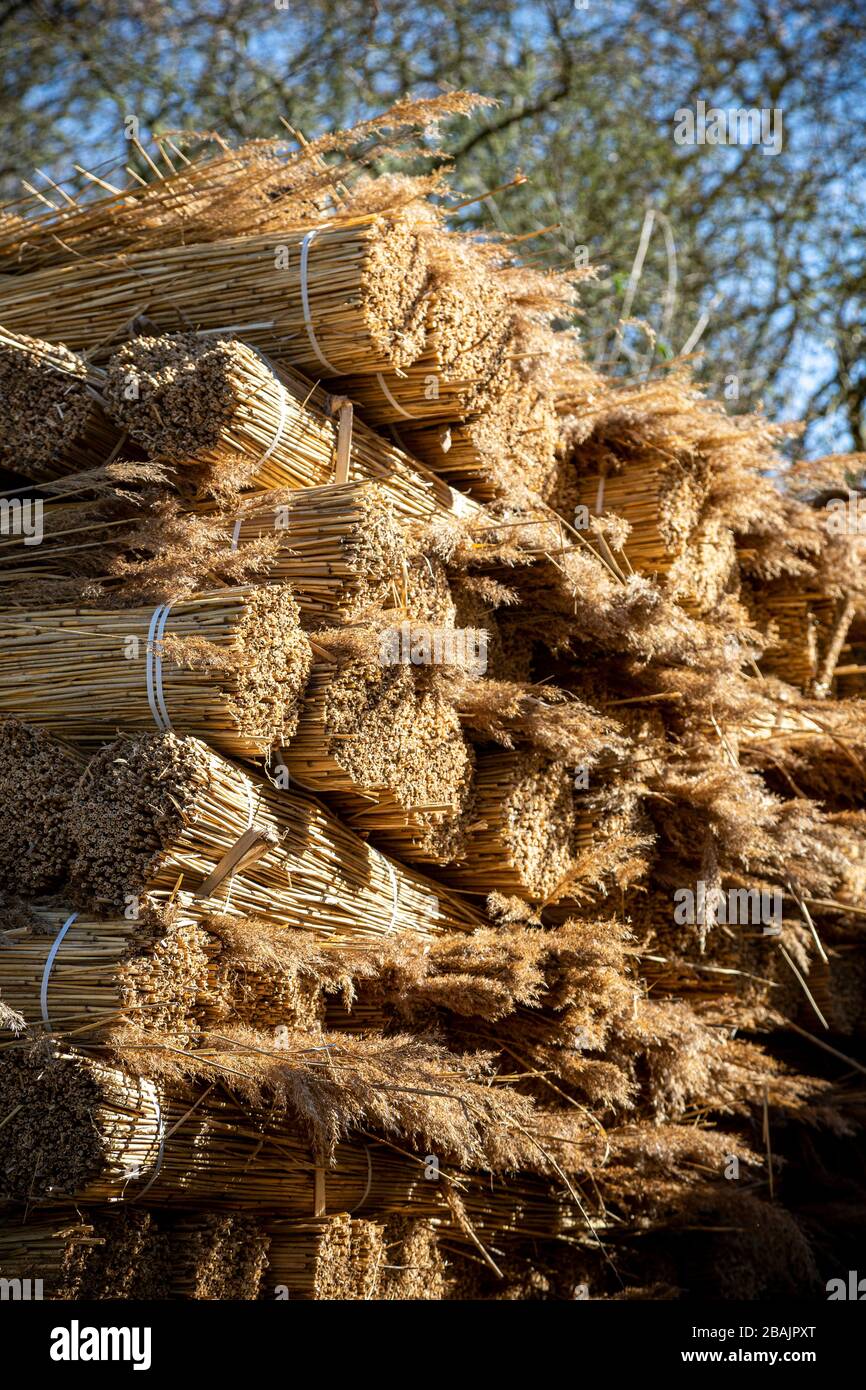 Combed wheat reed,Nitch.Thatched Roof Photos, Rooftop Photos, Repairing ...