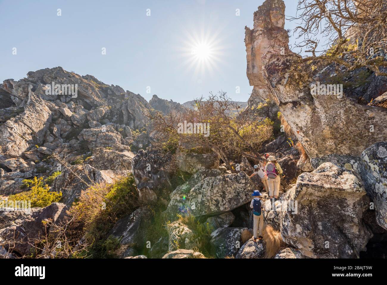 Hiking the chimanimani mountains hi-res stock photography and images ...
