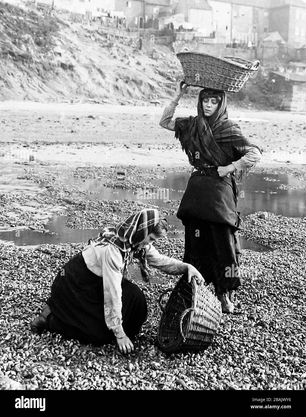 Gathering shellfish, Whitby, Victorian period Stock Photo - Alamy