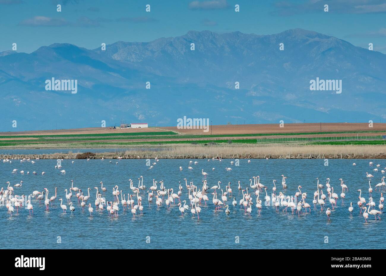 Elos lagoon hi-res stock photography and images - Alamy