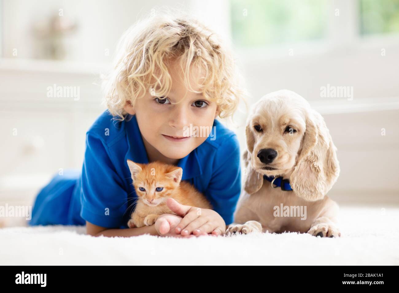 Cocker spaniel puppy children hi-res stock photography and images - Alamy