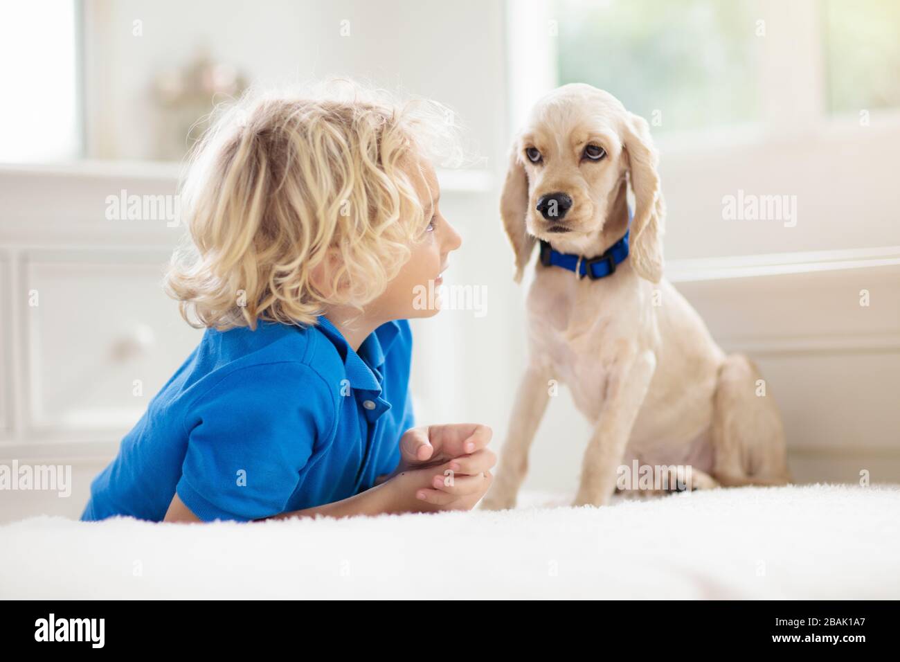 Cocker spaniel puppy children hi-res stock photography and images - Alamy