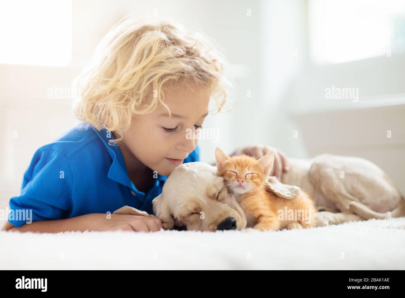 Child playing with baby dog and cat. Kids play with puppy and kitten ...
