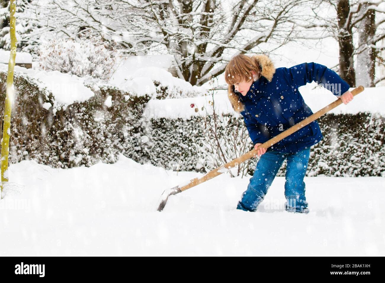 Child shoveling snow. Little boy with spade clearing driveway after ...