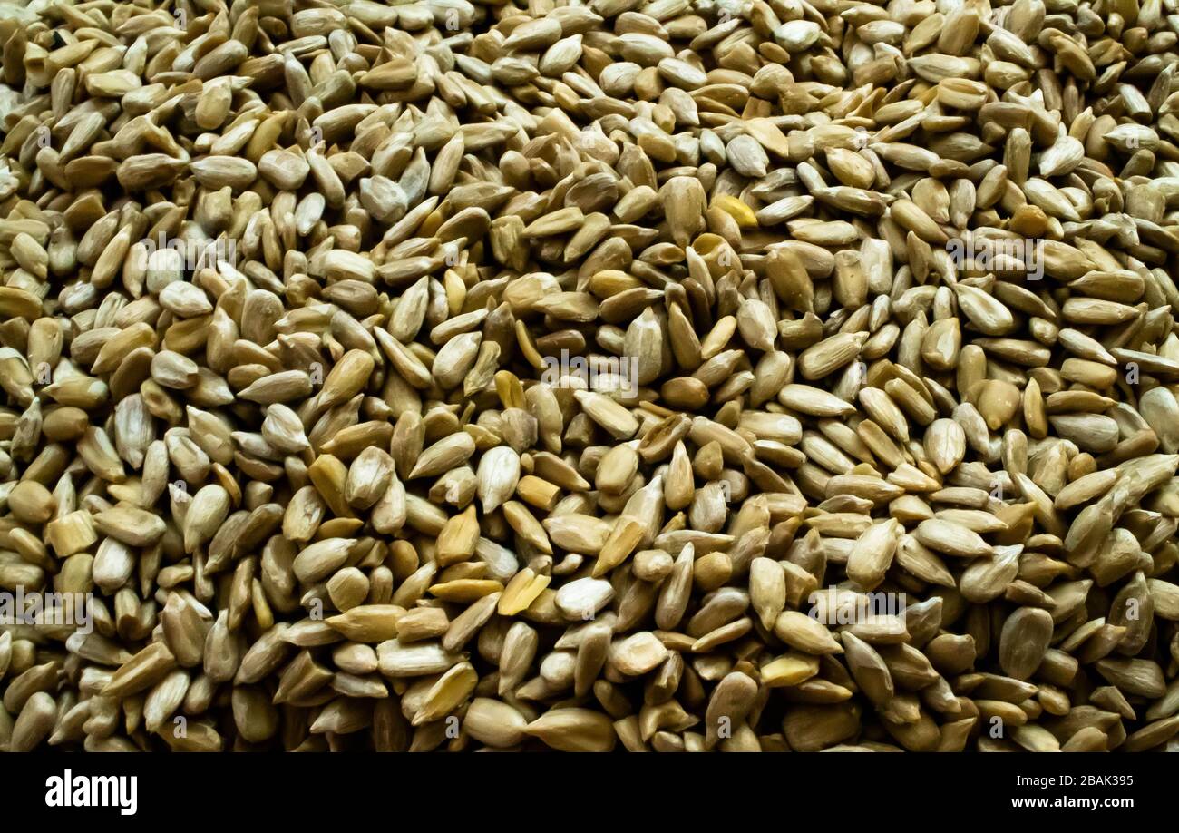 background of sunflower seeds close-up. texture Stock Photo - Alamy