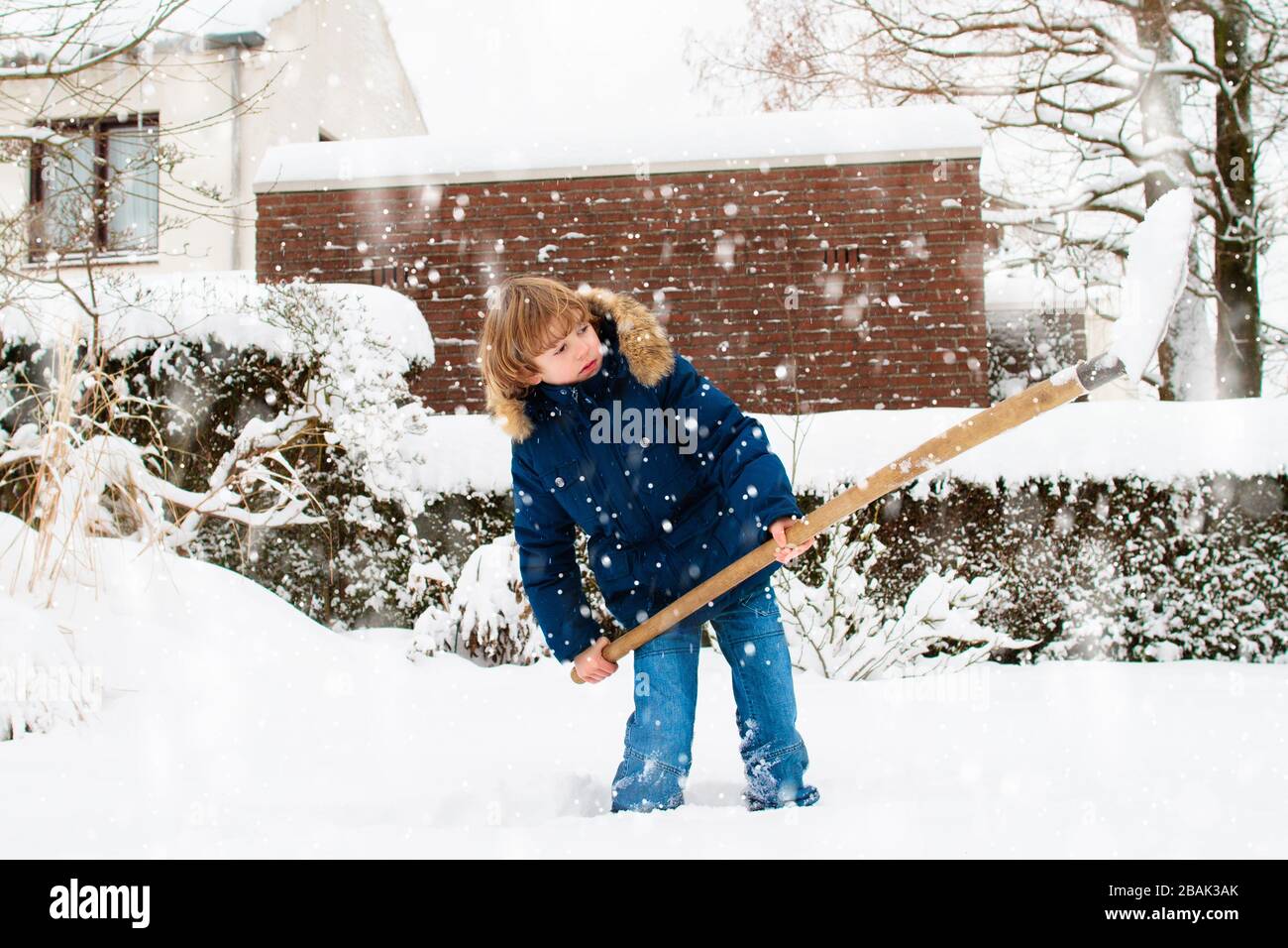 Child shoveling snow. Little boy with spade clearing driveway after ...