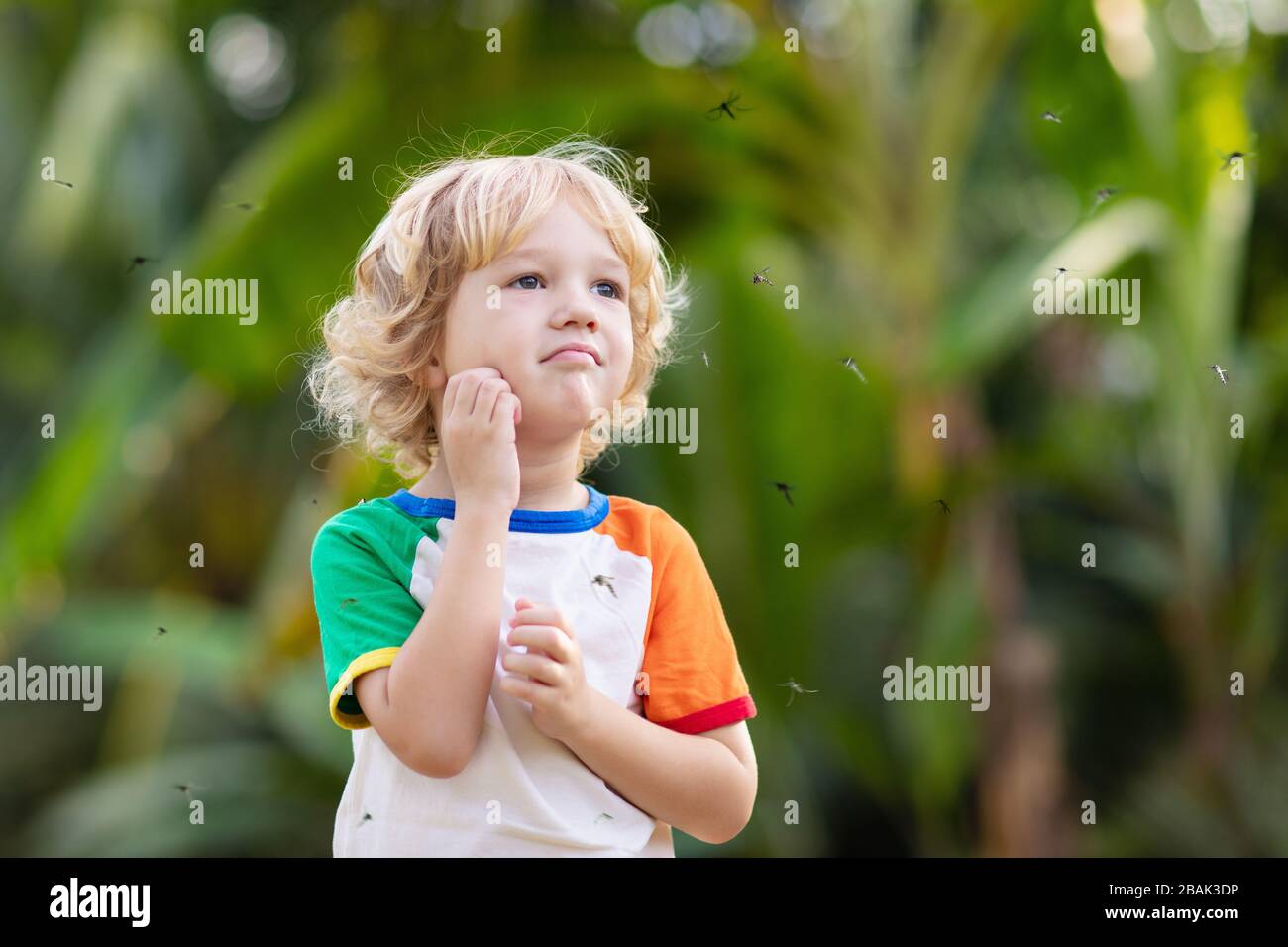 Mosquito on kids skin. Little boy attacked by mosquitoes in tropical ...