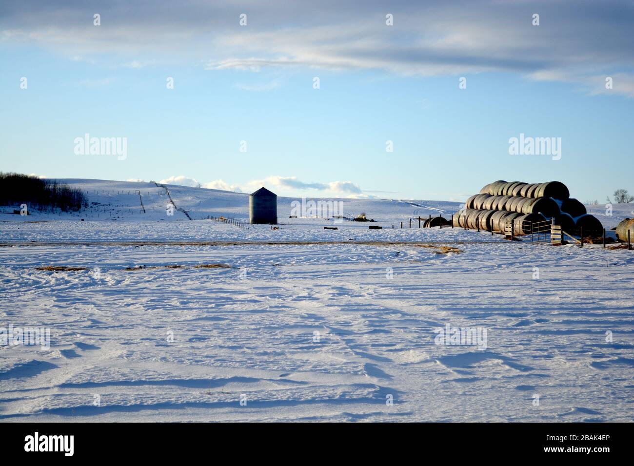 Large Stacks of Hay Bails on a Snowy Farm Field in Winter Stock Photo ...