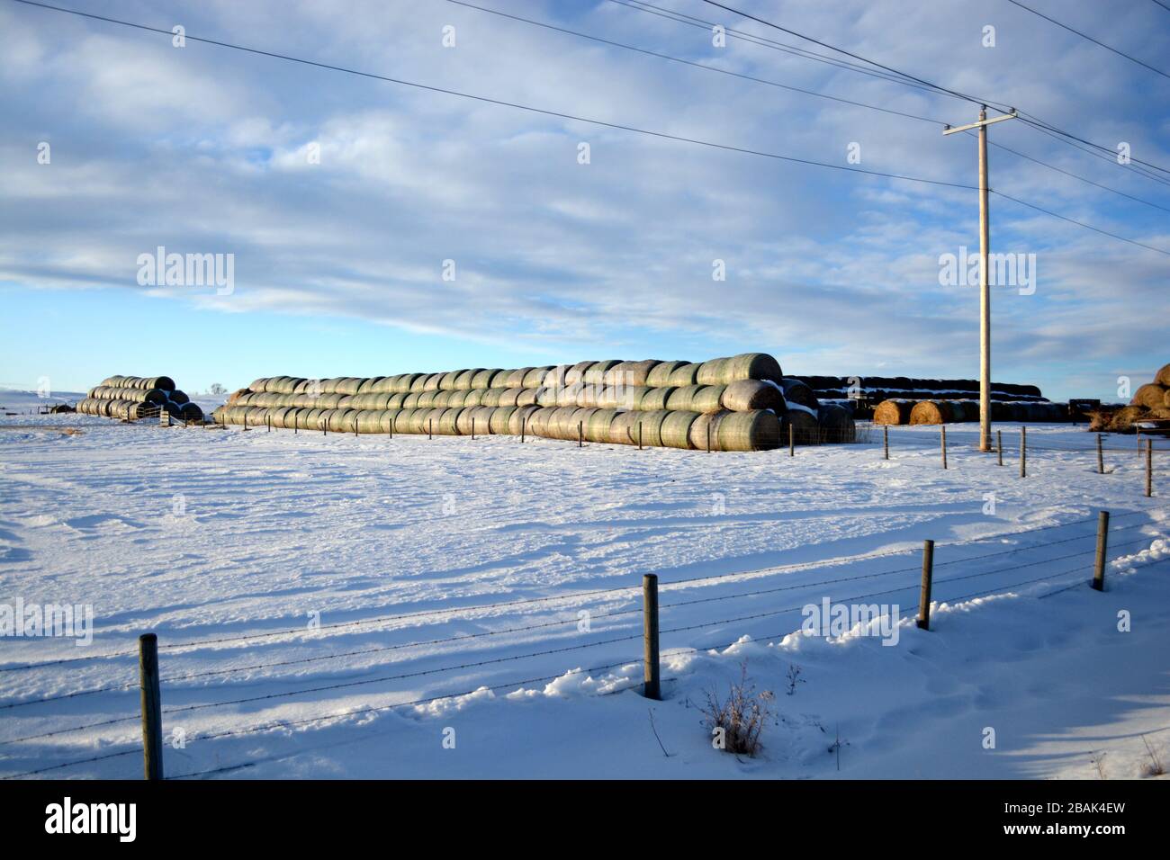 Canada range field ranch hi-res stock photography and images - Alamy
