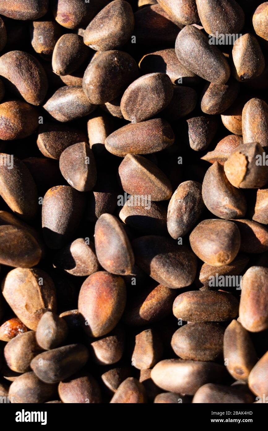 Cedar texture hi-res stock photography and images - Alamy