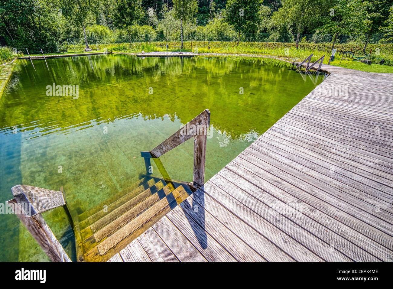 steps to natural swimming pool in Austria among green nature Stock ...