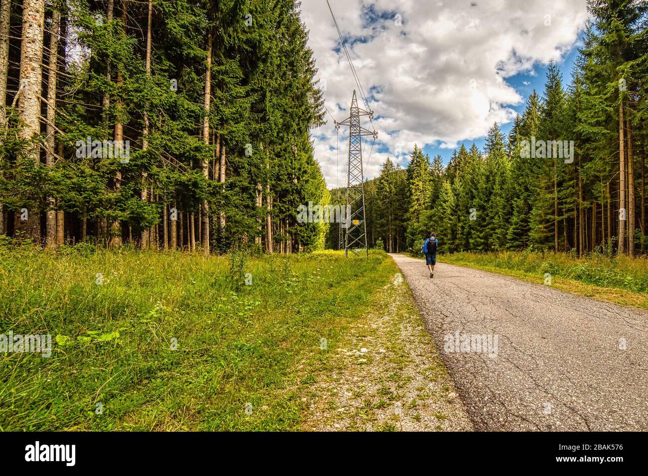 trekker walking on pathway running through wood in Italy Stock Photo ...
