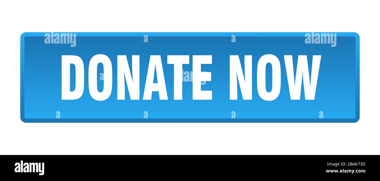 donate now button. donate now square blue push button Stock Vector ...