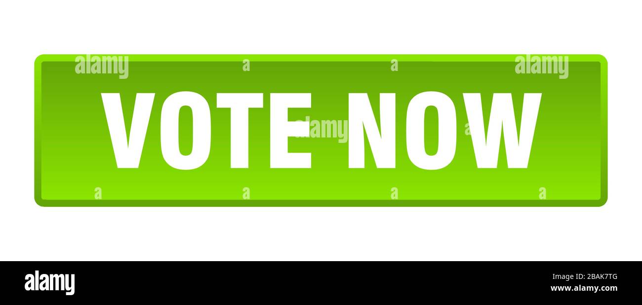 vote now button. vote now square green push button Stock Vector Image ...