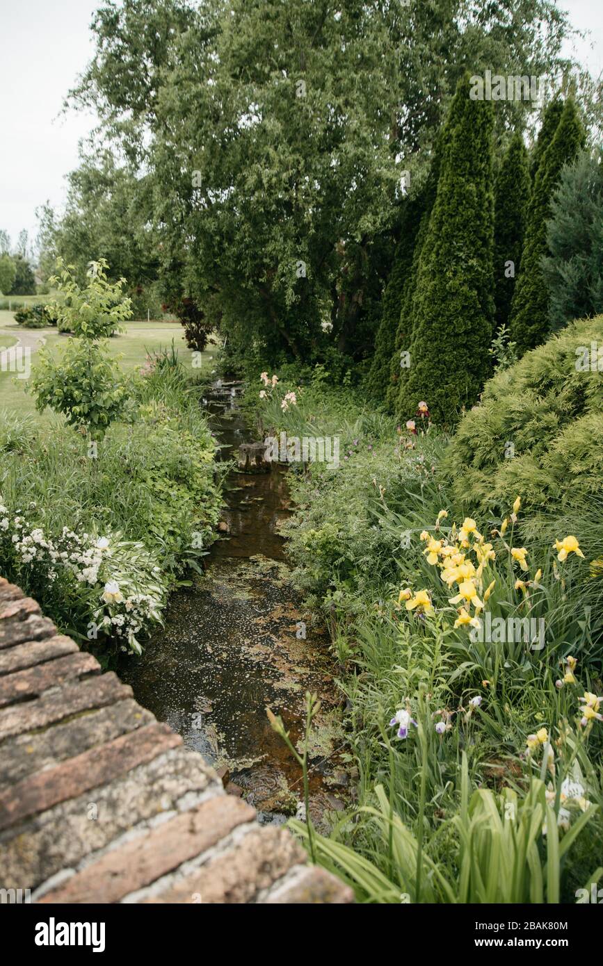 Stream creek water flow flowing day sunny sunshine nature grass hi-res ...