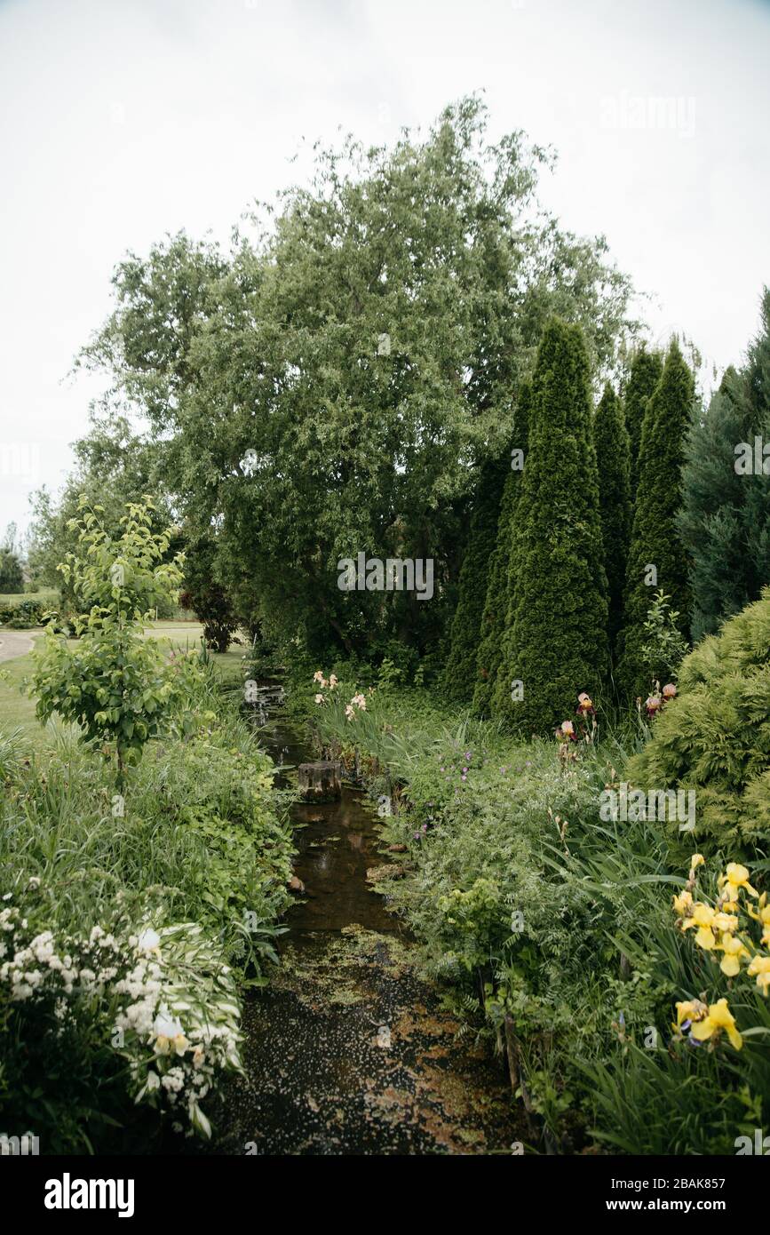A small river in the forest. Nature and spring Stock Photo - Alamy