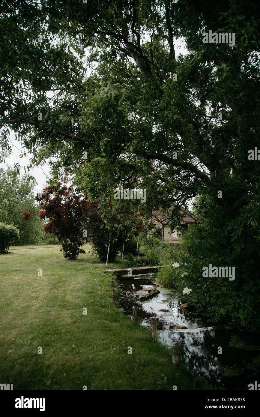 A small river in the forest. Nature and spring Stock Photo - Alamy