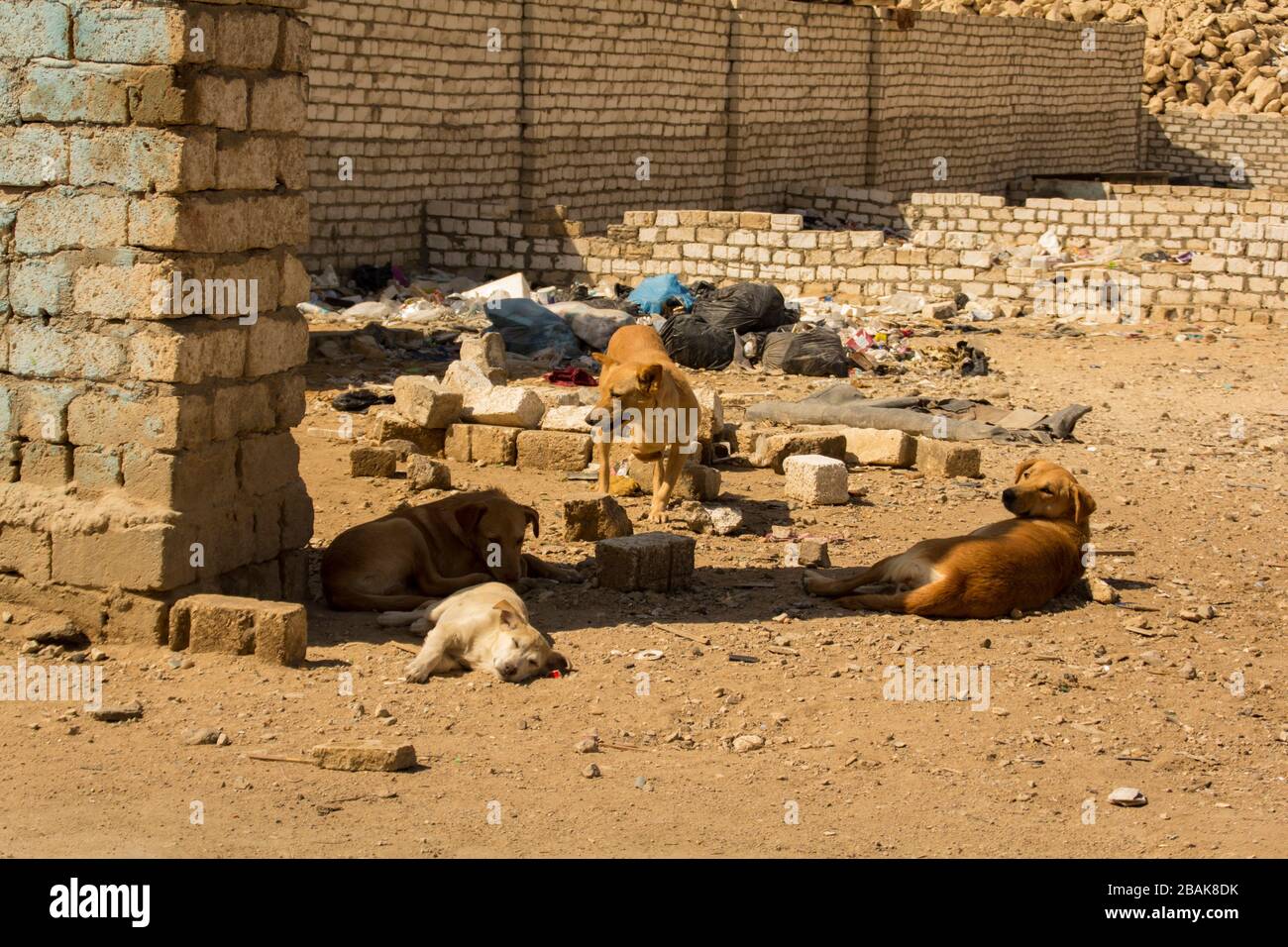 Cairo slums hi-res stock photography and images - Alamy