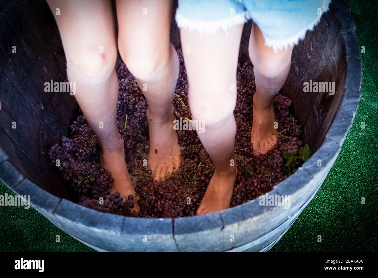Stepping on grapes hi-res stock photography and images - Alamy
