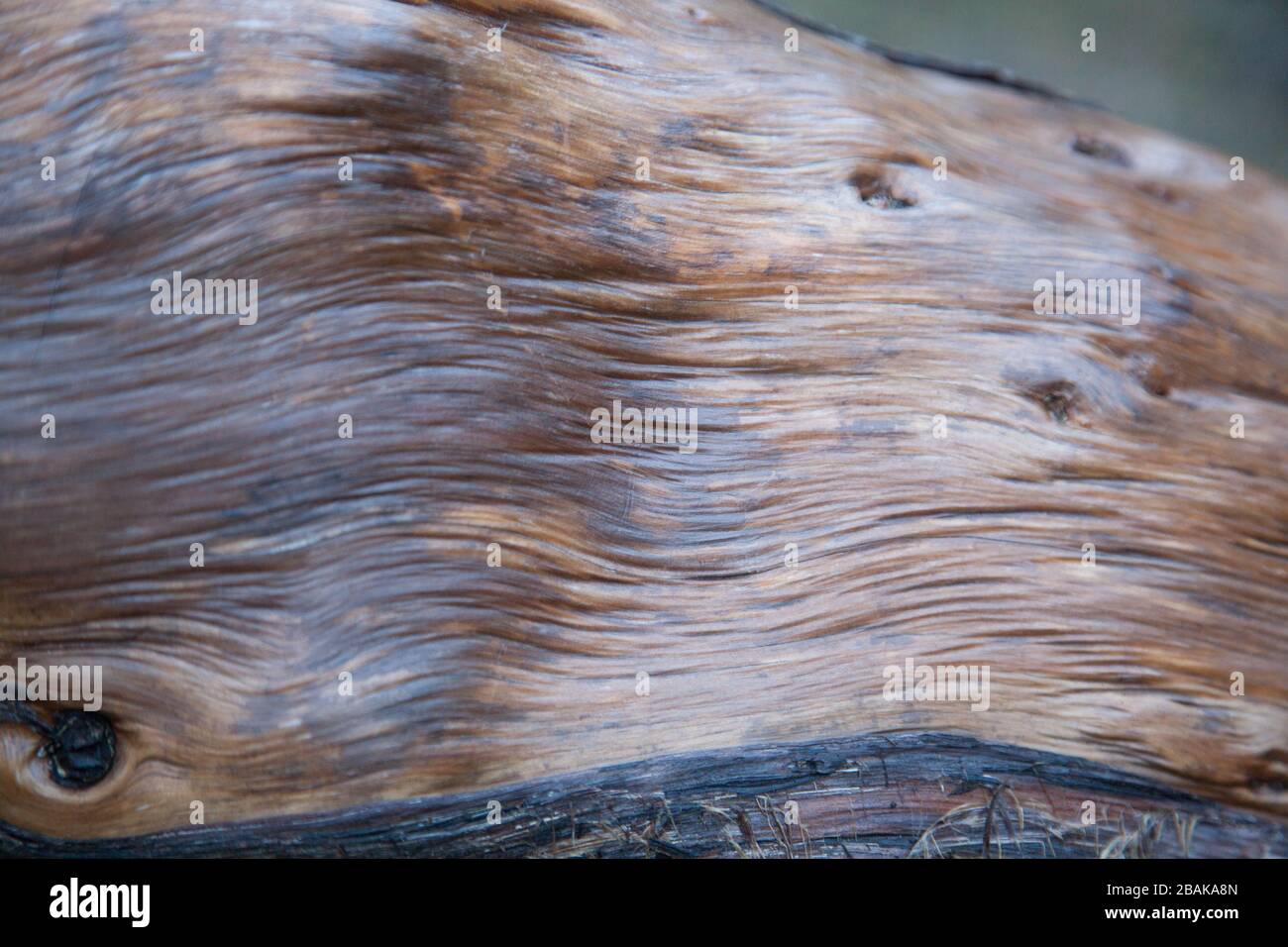 Wet wood sun light hi-res stock photography and images - Alamy