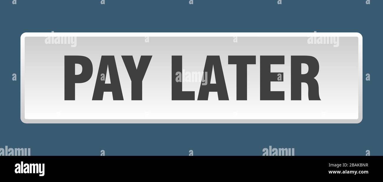 pay later button. pay later square white push button Stock Vector Image ...