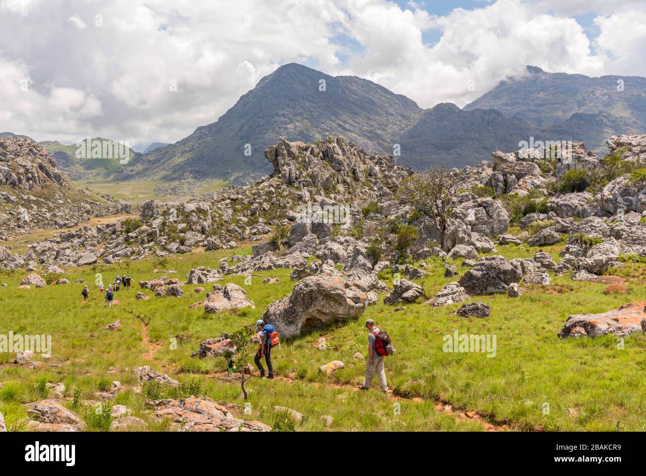 Hikers seen in Zimbabwe's Chimanimani National Park Stock Photo - Alamy