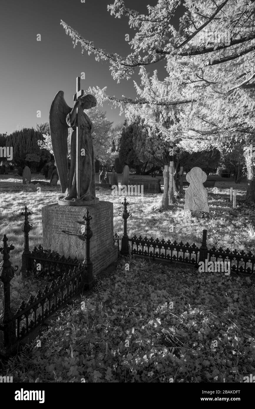 A statue of an angel holding a cross looks over multiple graves in a ...