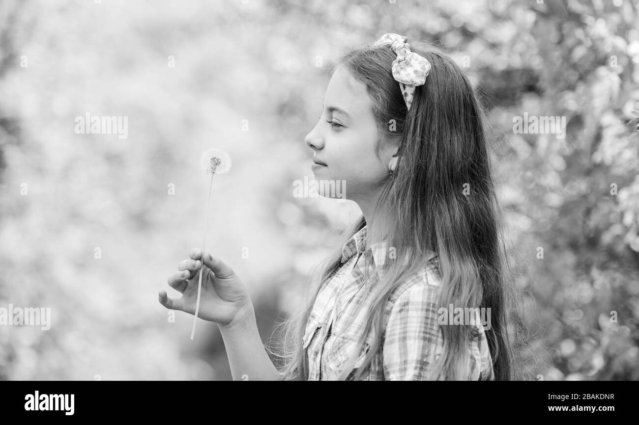Dandelion full symbolism. Folklore beliefs about dandelion. Having fun ...