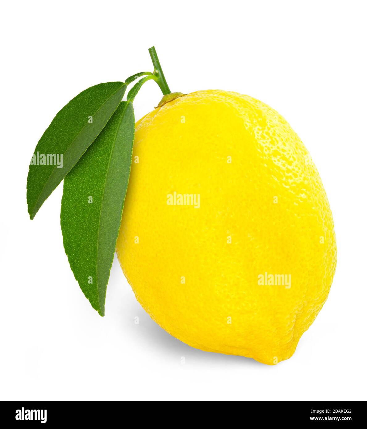 lemon fruit with leaf isolated on white background Clipping Path Stock ...
