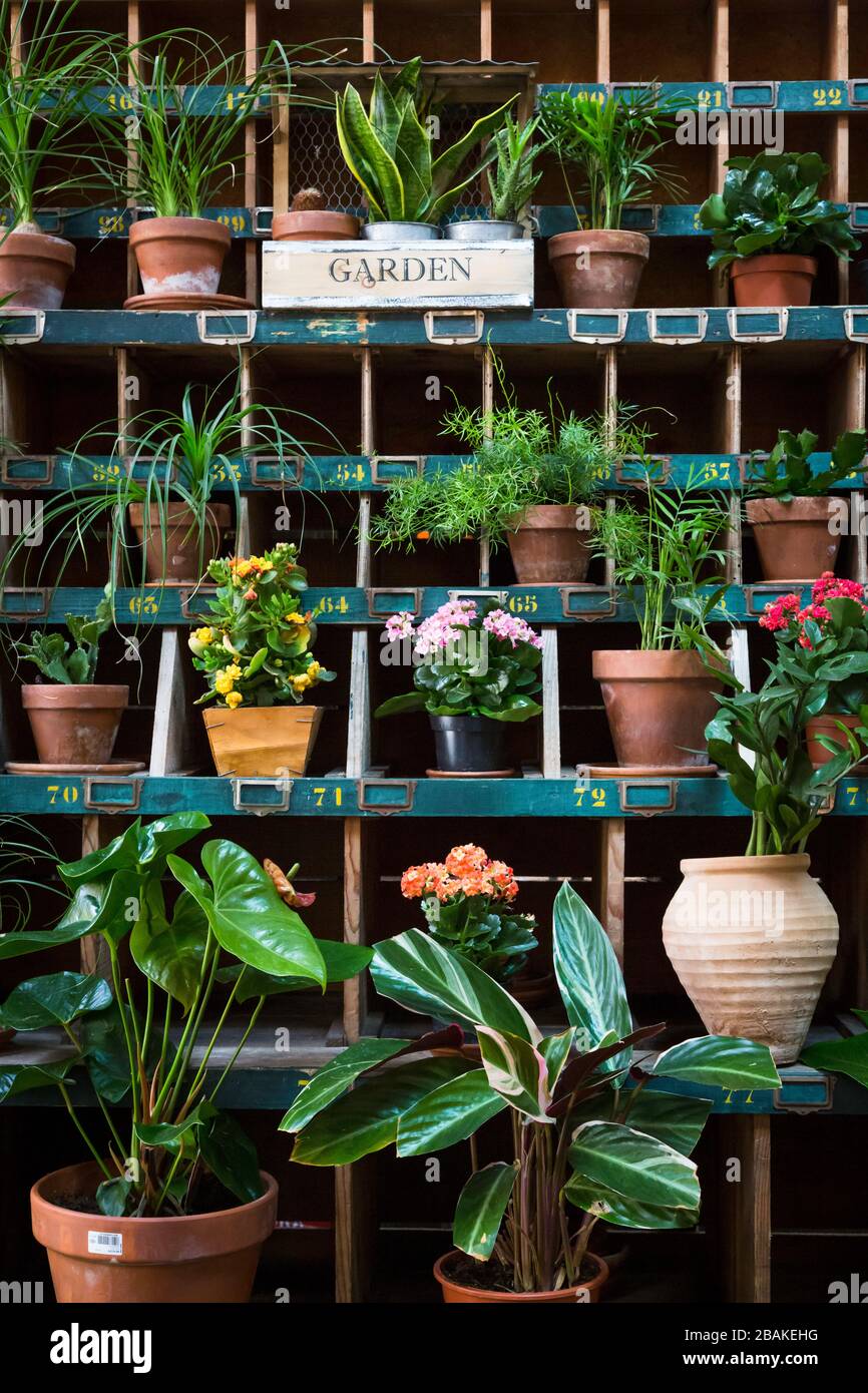 Peat stand hi-res stock photography and images - Alamy