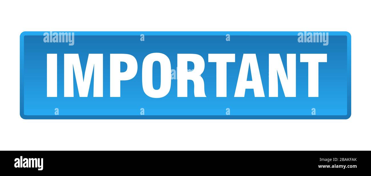 important button. important square blue push button Stock Vector Image ...